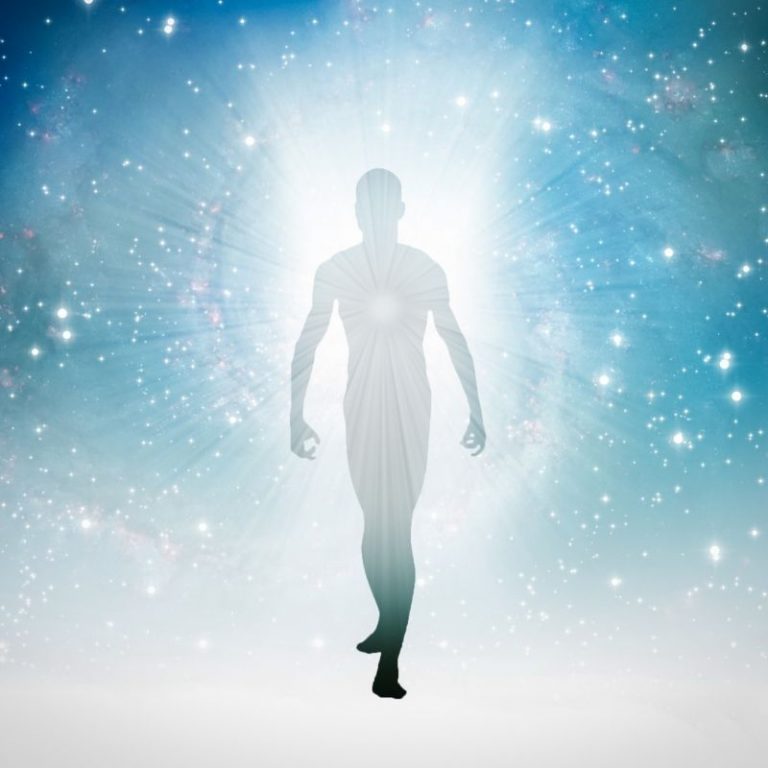 HEALING THROUGH TREE ENERGY - ANNINDITA PALAUS